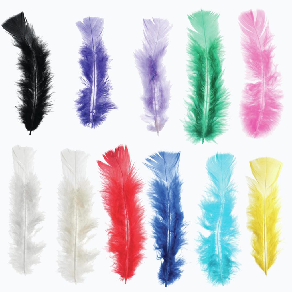 Feathers - Turkey - Packs - Duttons for Buttons
